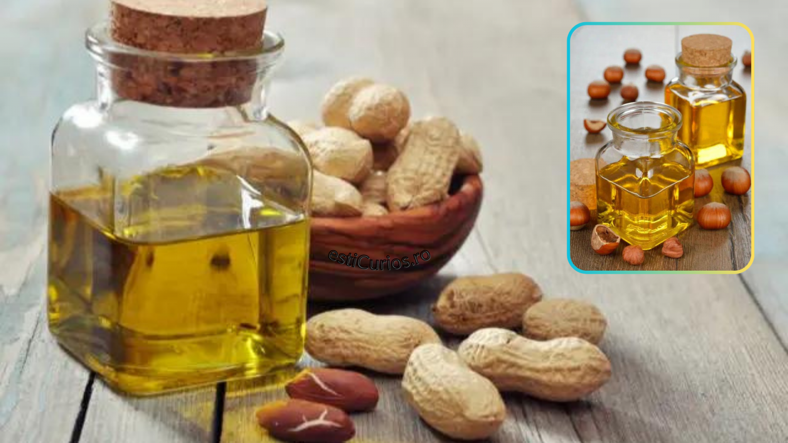 Ulei de arahide: beneficii și proprietăți, totul despre uleiul de alune ...