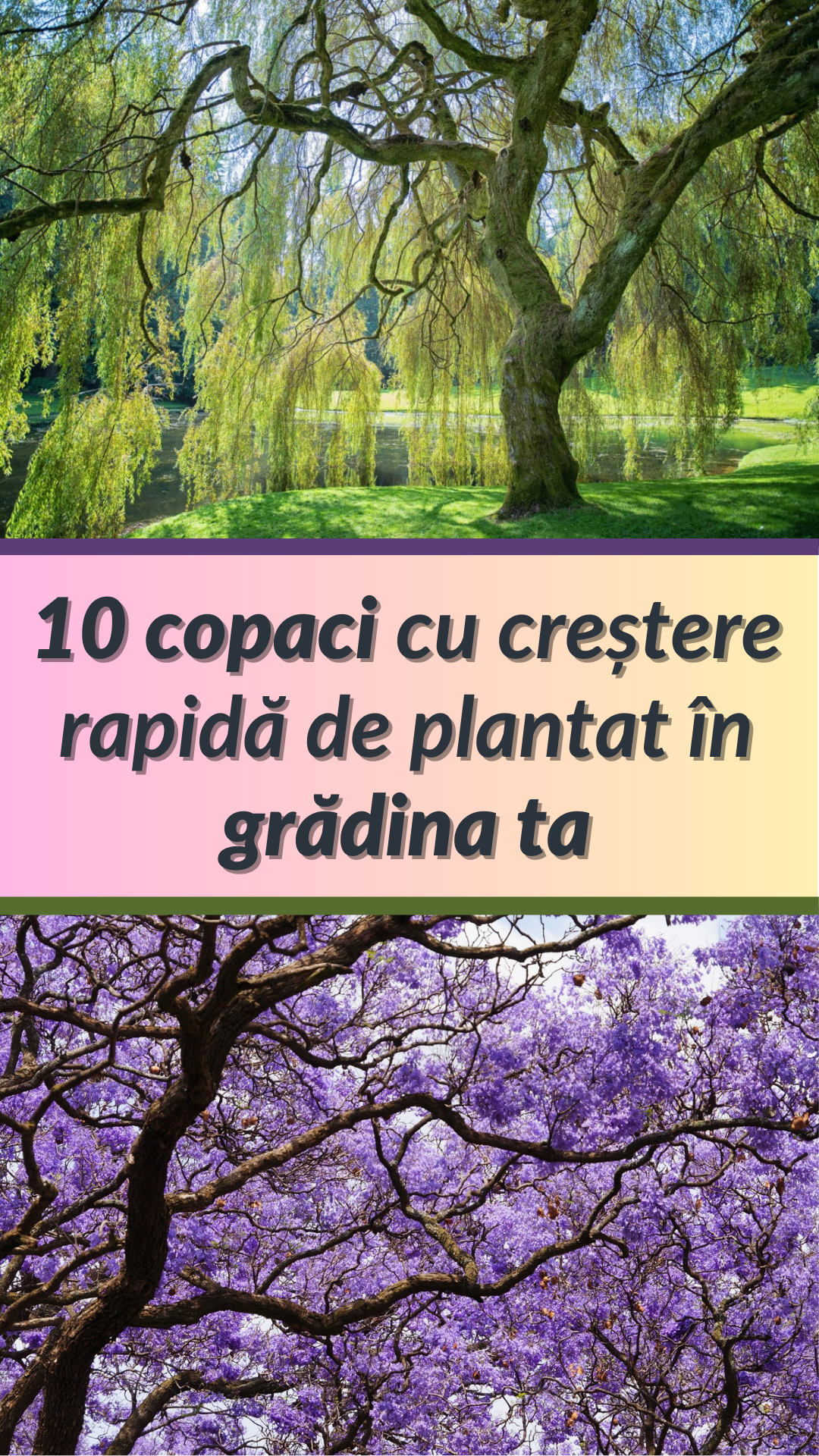10 copaci cu creștere rapidă de plantat în grădina ta