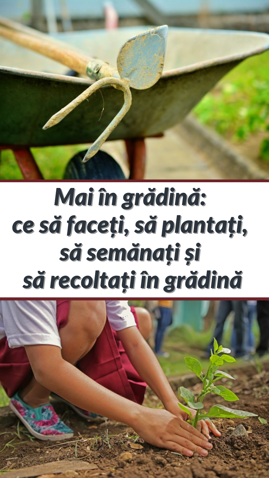 Cum să creezi un iaz de grădină si cum si să decorați un mini iaz de ...