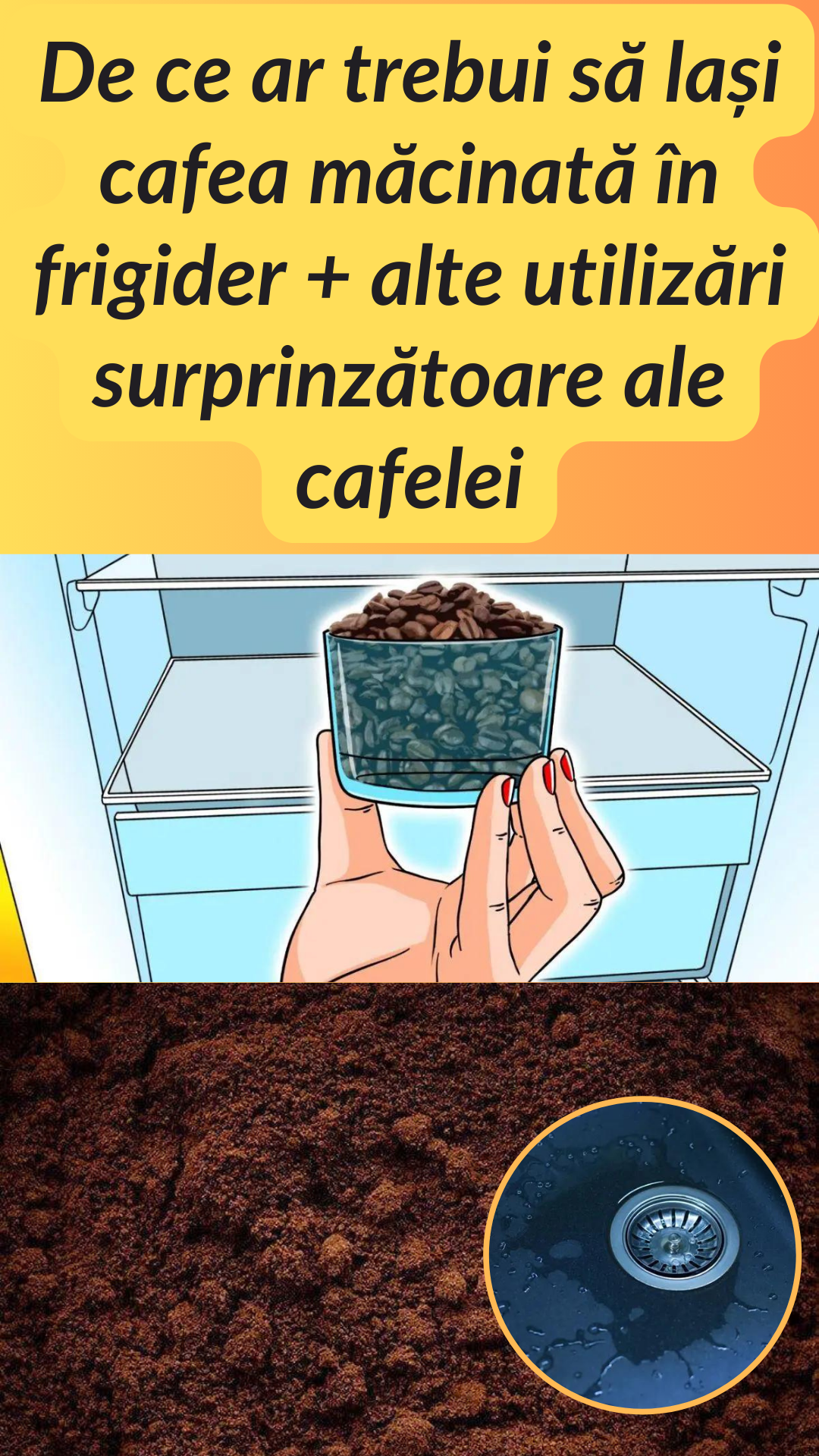 De ce ar trebui să lași cafea măcinată în frigider + alte utilizări surprinzătoare ale cafelei