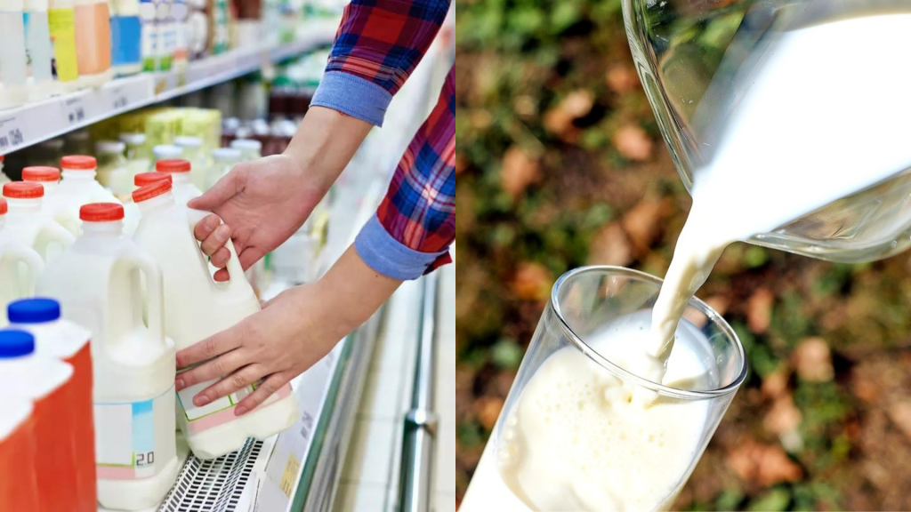 9 tipuri diferite de lapte (+ cum să alegi pe cel mai bun)