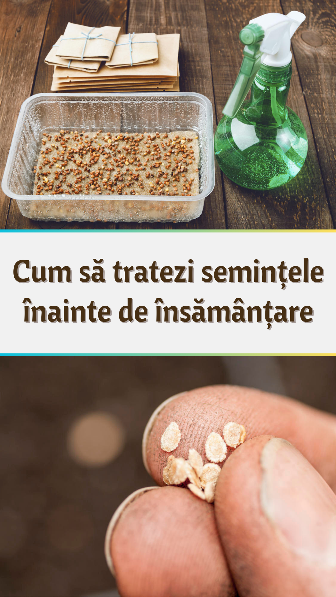 Cum să tratezi semințele înainte de însămânțare