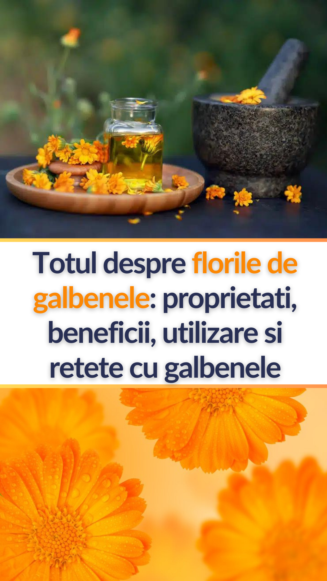 Totul despre florile de galbenele: proprietati, beneficii, utilizare si ...