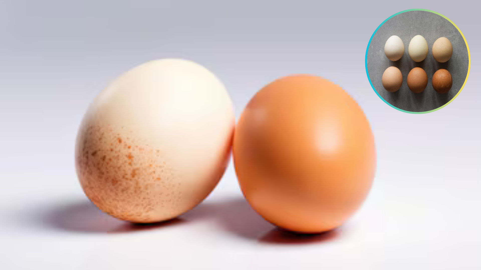 Ou alb vs. Ouă maro: ghid practic cu tot ce trebuie să știți despre oul ...