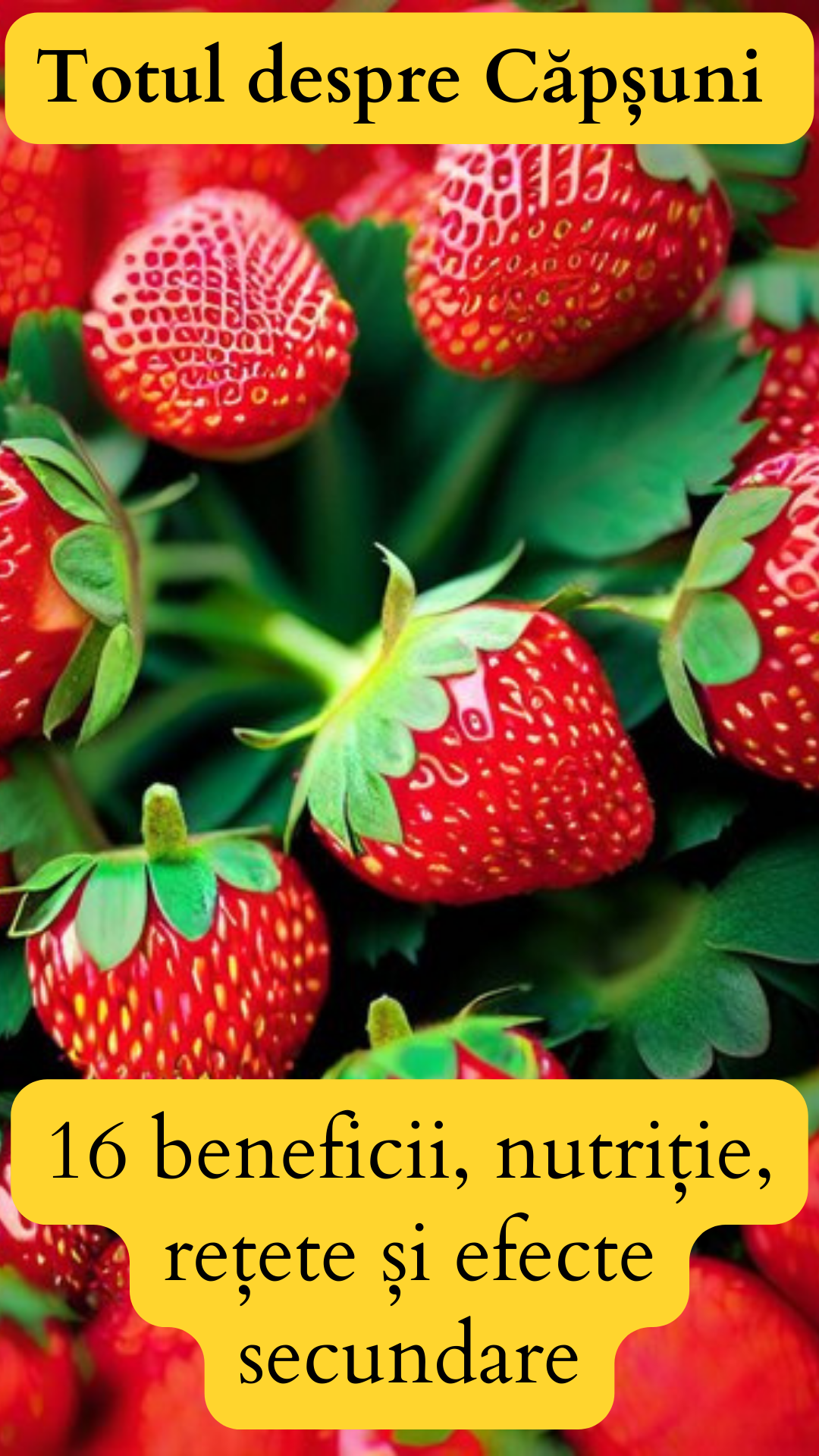 Căpșuni - 16 beneficii, nutriție, rețete și efecte secundare